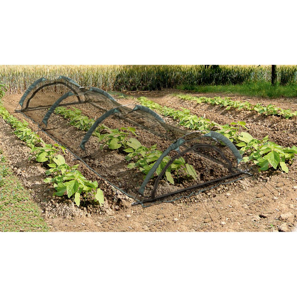 Jardin : tunnel de protection pour jardin